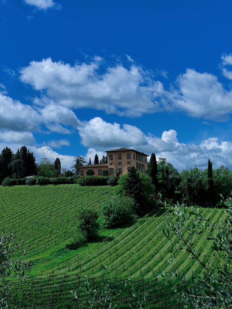Exclusive Tasting of a Famous Tuscan Wine | Michelangelo's Florence Tours